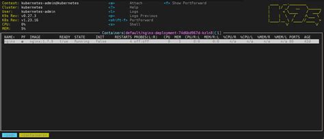 Deploying Kubernetes K9s For Managing And Monitoring Kubernetes Clusters Ranjeet Badhe