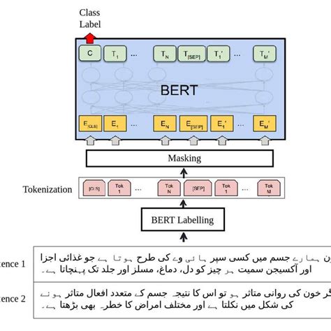 Proposed Architecture Of Bert For Urdu Text Analysis Download