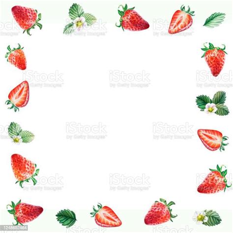 반 베리와 붉은 육즙 딸기의 수채화 프레임 템플릿 손으로 그린 음식 일러스트레이션 과일 인쇄 0명에 대한 스톡 벡터 아트 및