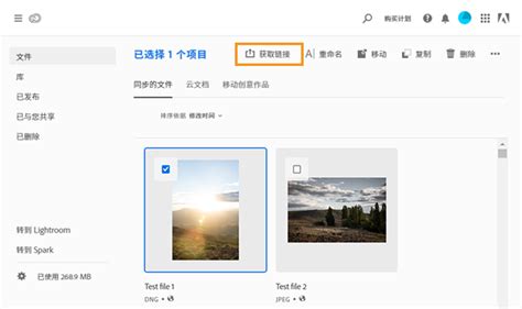 如何删除指向共享 Creative Cloud 文件或文件夹的链接
