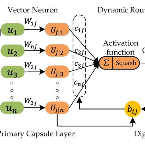 The Architecture Of A Capsule Network The Transformation Of Scalar Download Scientific Diagram