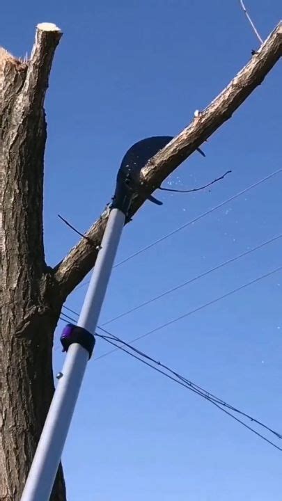 Telescopic High Branch Tree Cutter Trimmer Aluminum Alloy Telescopic Rod Aerial Work Tree Saw