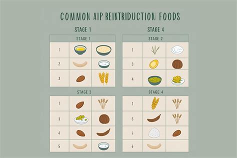 Aip Reintroduction Food Stages Explained