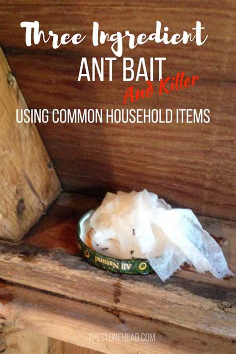 Diy Ant Killer Real Estate Kier