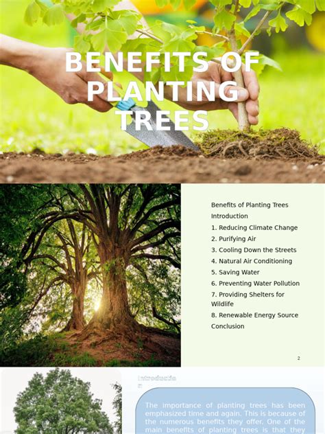 Benefits Of Planting Trees Pdf