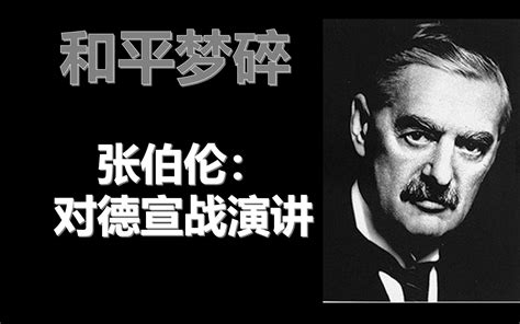 莫斯科大动乱中的反德武装势力人旗国杂谈TNO莫斯科专员辖区内战阵营反德武装 bilibili B站 无水印视频解析YIUIOS易柚斯