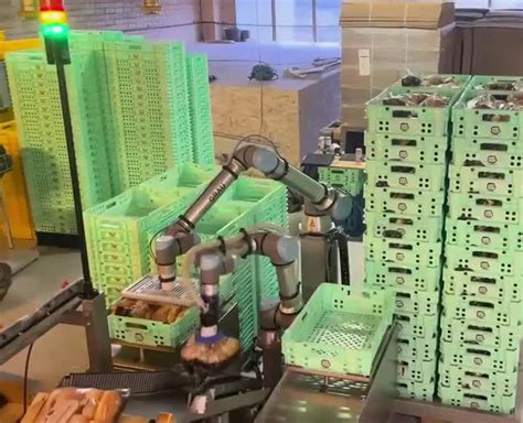 Cornelia Wilke On Linkedin Robotics Automation Palletizing