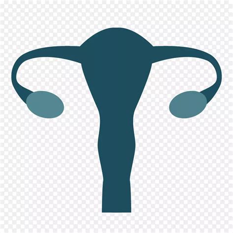 工作坊手术标志 妇科png图片素材下载图片编号4274911 Png素材网