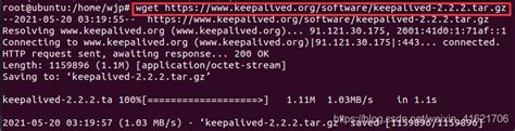 ubuntu安装keepalived ubuntu22离线安装keepalive csdn博客