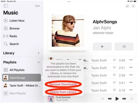 Detailed Guide How To Delete Songs On ITunes On IPad