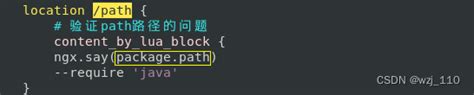 openresty 二十 加载lua文件的一些细节 openresty 加载模块 csdn博客