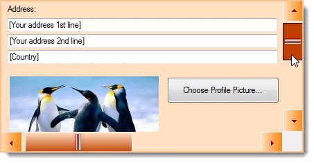Advanced Panel For WinForms Features Rich Custom NET Control For WinForms