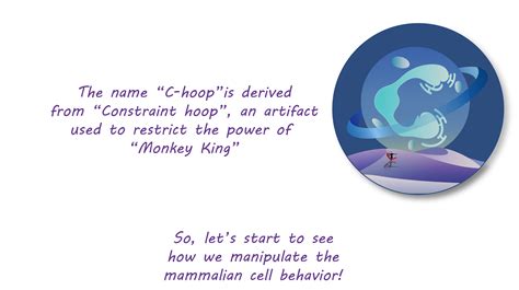 Teamsustech Shenzhen