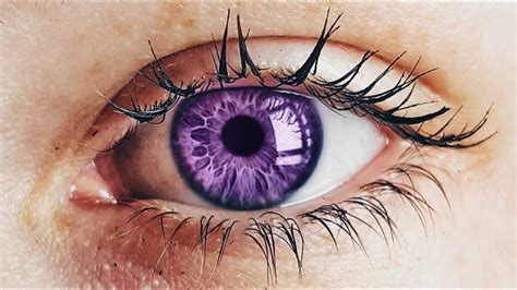 Top 7 Colores De Ojos Más Raros Del Mundo Youtube