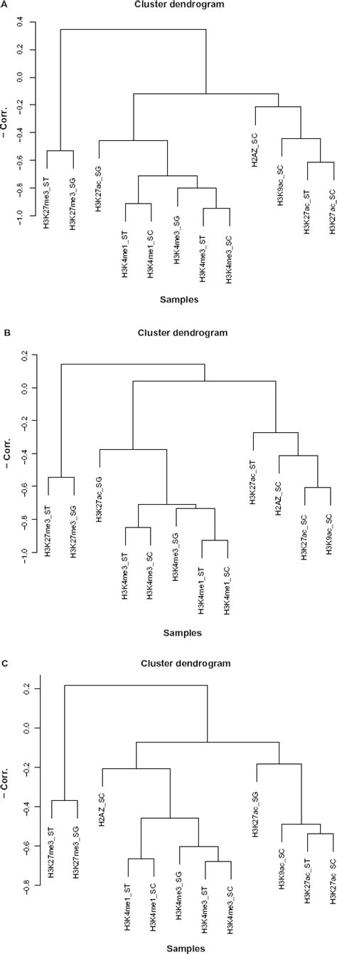 Hierarchical Clustering Upgma Of Simultaneously Shuffled Mouse