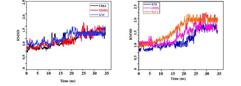 Molecular Dynamics Simulation Results Were Analyzed Rmsd Values