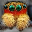 Rust Commands GameKeeper Io