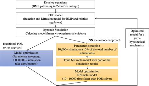 Pde Modeling Blue And Metamodeling Yellow Download Scientific Diagram