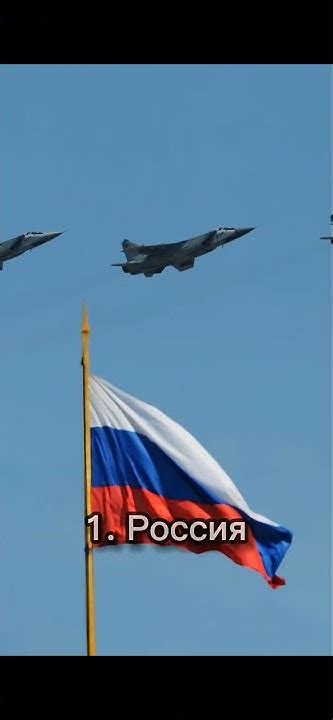 Страны с самой большой площадью лесов Youtube