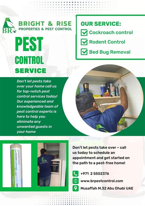 Top 5 Cockroach Gels Best Picks For Uae Homes