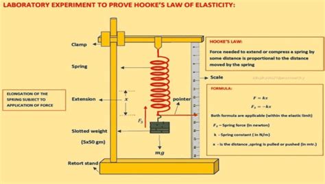 What Is Spring Constant Significance Formula Unit Dimension