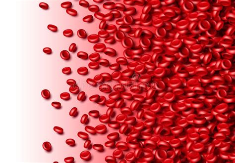 Cellule O Eritrociti Sanguigni Che Scorrono In Un Contesto Scientifico