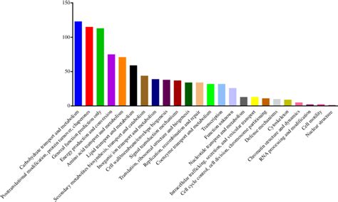 Histogram Of COG Classification Of DEPs Full Size DOI Download Scientific Diagram