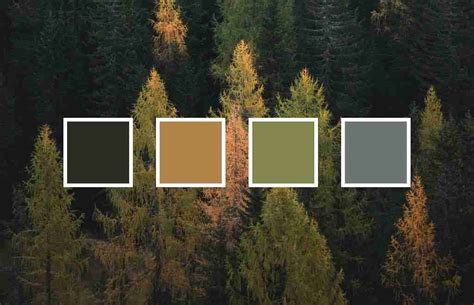 10 Best Forest Color Palette Ideas With Hex Codes Desircle