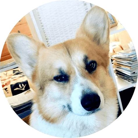 “django” Stickers Set For Telegram