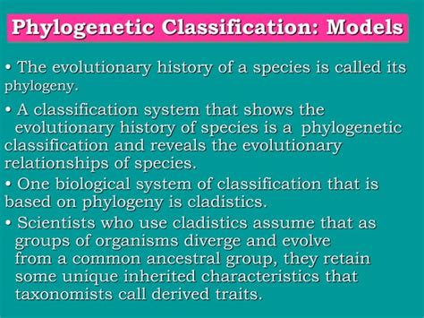 What Is Taxonomyclassification17ppt Operating Systems Computer