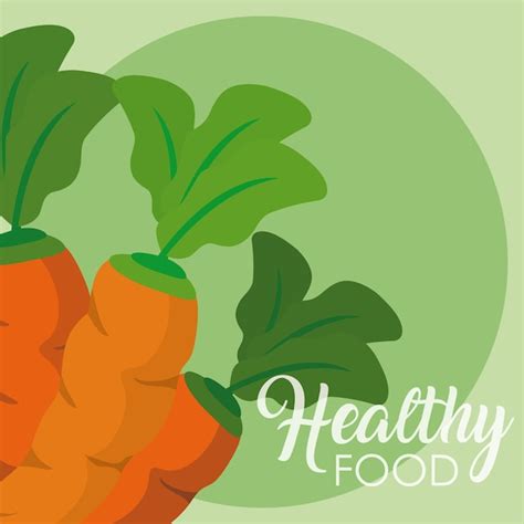신선한 유기농 야채 당근 프리미엄 벡터