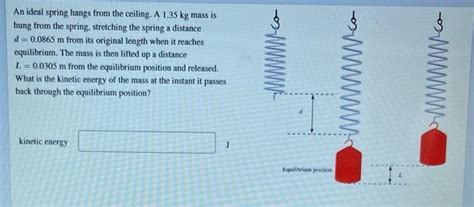 solved an ideal spring hangs from the ceiling a 1 35 kg