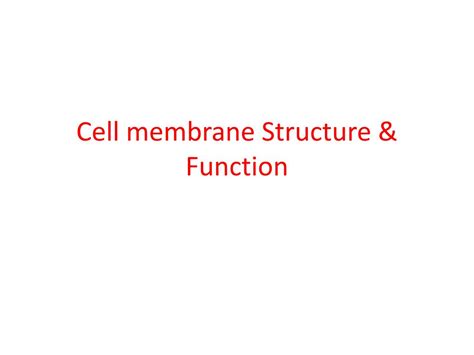 PPT Cell Membrane Structure Function PowerPoint Presentation ID