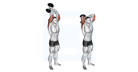 Dumbbell Standing Triceps Extension In 2025 Triceps Triceps Workout