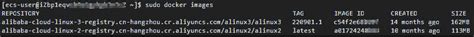 在容器（docker）中使用alibaba Cloud Linux镜像alibaba Cloud Linuxalinux 阿里云帮助中心