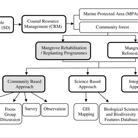 5 The Framework Of Mangrove Rehabilitation Programme Through Community Download Scientific