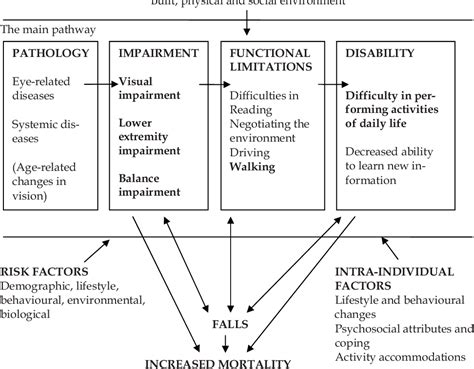 Figure 2 From Visual Acuity In Relation To Functional Performance