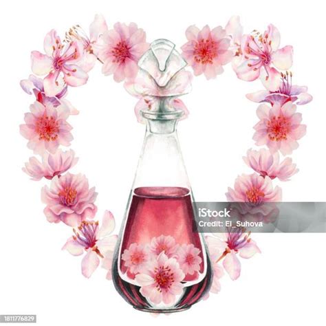 결혼식 생일 발렌타인 데이 하나미 장식에 대 한 사랑의 마음으로 수채화 핑크 꽃 체리 엽서 테두리 흰색 배경에 고립된 프레임에 대한 그림 벚꽃에 대한 스톡 벡터 아트 및