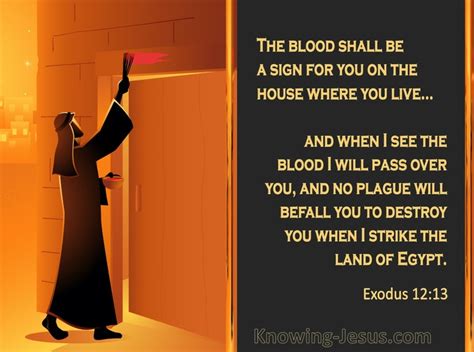 16 Bible Verses About Regulations For Passover