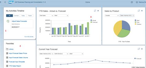 Transforming The User Experience With Sap Bpc 110 Truqua
