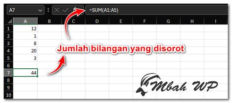 Cara Menggunakan Fungsi COUNT SUM Di Excel