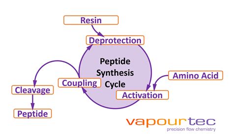 Peptide Synthesis And Flow Chemistry A Tube With A View