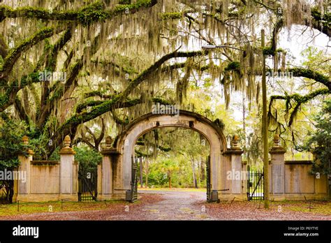 USA Georgia Savanah Gateway And Tree Lined Drive Way At The Wormsloe Plantation Stock Photo