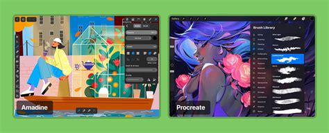 Amadine And Procreate Comparison Amadine Useful Articles