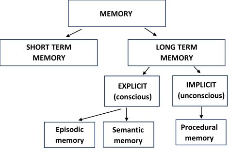 Memory Type Of Long Term Memory The Tutor Academy