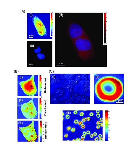 2d Qpi With Other Correlative Imaging Techniques A Through This