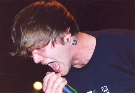 Calico System Pictures