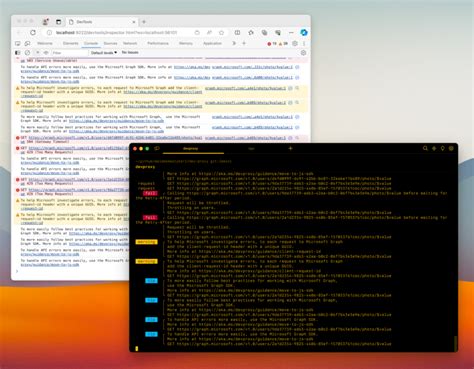 dev proxy v0 13 with new guidance and inspecting web requests