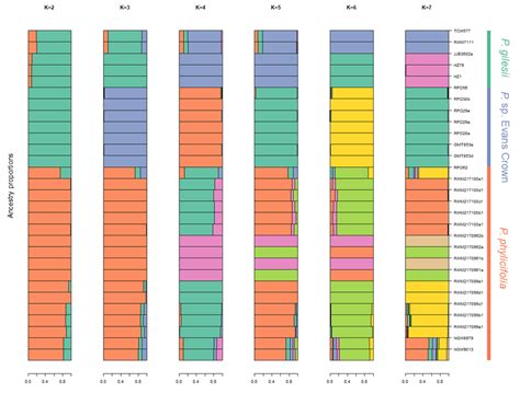 Individual Ancestry Proportions From Model Based Clustering Using Snmf Download Scientific