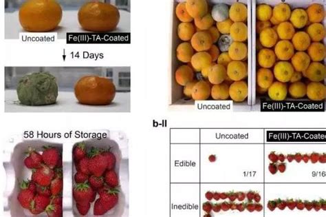 涂布在线—可延长产品的保质期的纳米抗菌涂层技术